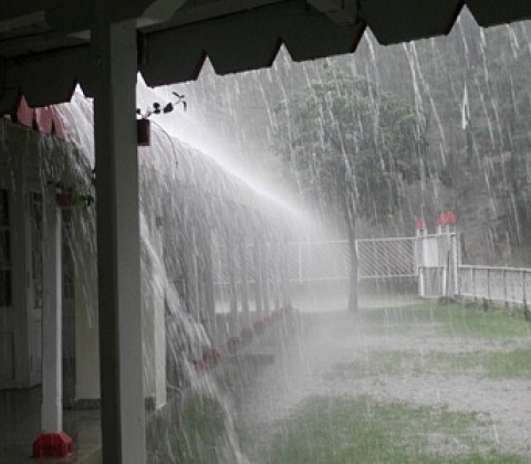 Dunedin City Council flood response Info